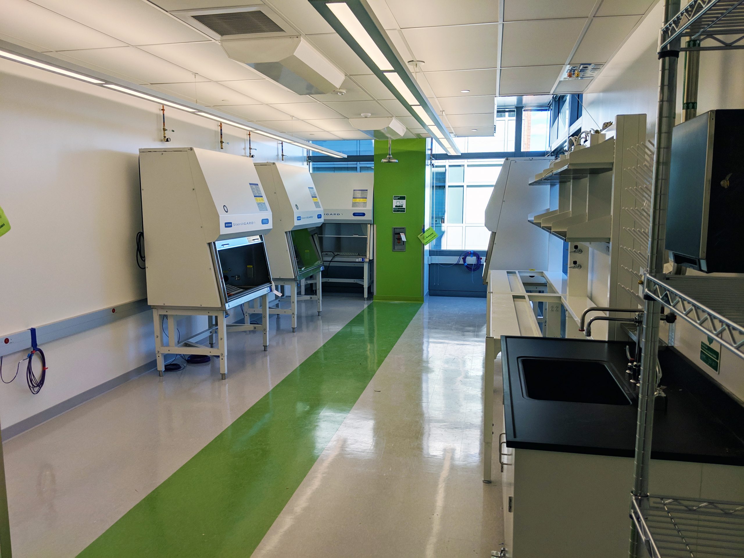 Biogen – Bio6 5th Floor Lab Renovation - Commodore Builders